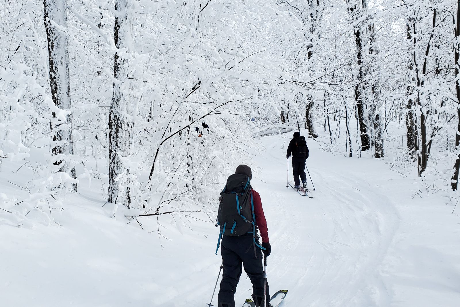 Où faire de la randonnée alpine à Bromont en Estrie